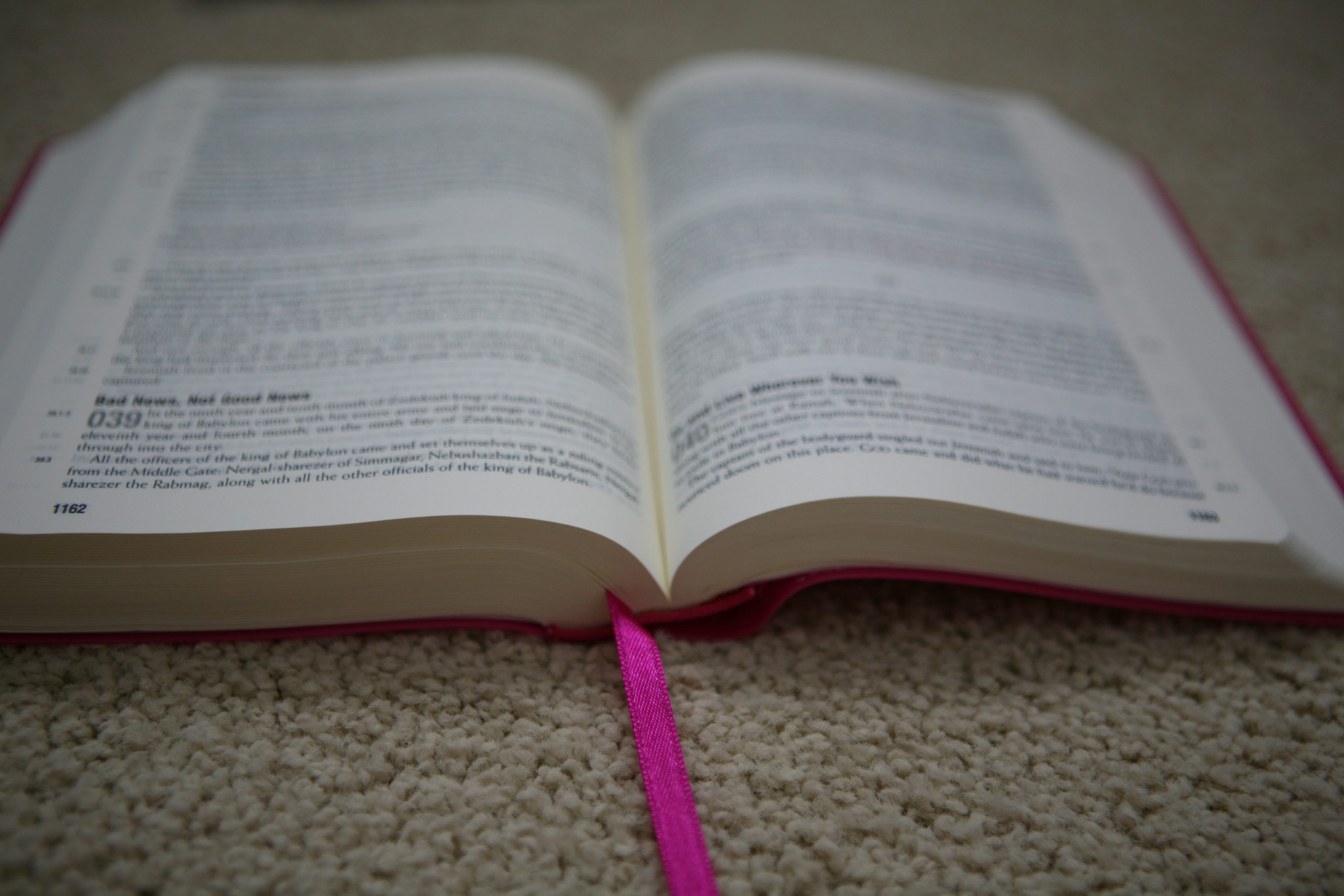 Why My Friend and I Decided to Memorize An Entire Book of the Bible ...